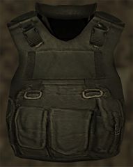 Body Armor - Grand Theft Wiki, the GTA wiki