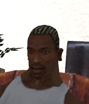 Barbers in GTA San Andreas/Hairstyles - Grand Theft Wiki, the GTA wiki