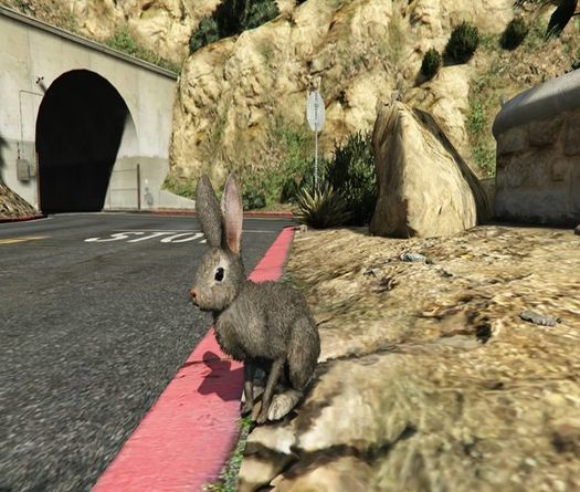 Rabbit - Grand Theft Wiki, the GTA wiki