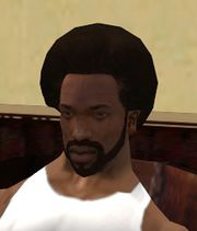 Barbers in GTA San Andreas/Hairstyles - Grand Theft Wiki, the GTA wiki
