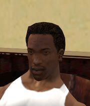 Barbers in GTA San Andreas/Hairstyles - Grand Theft Wiki, the GTA wiki